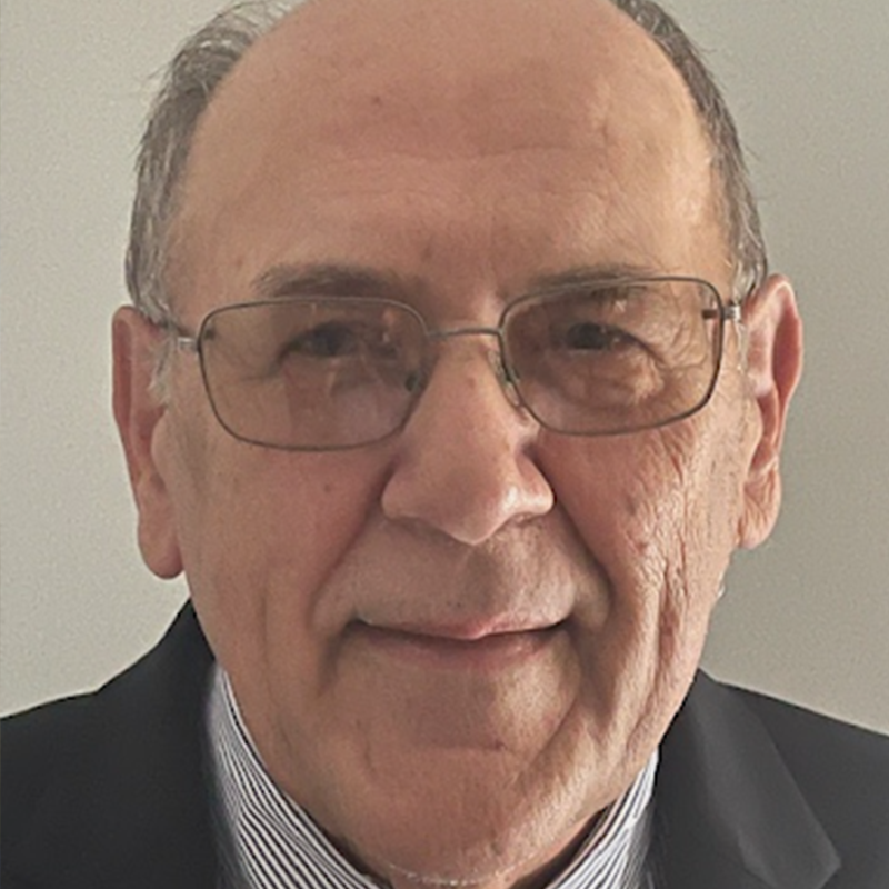 John DiPlacido - Millcreek Government Study